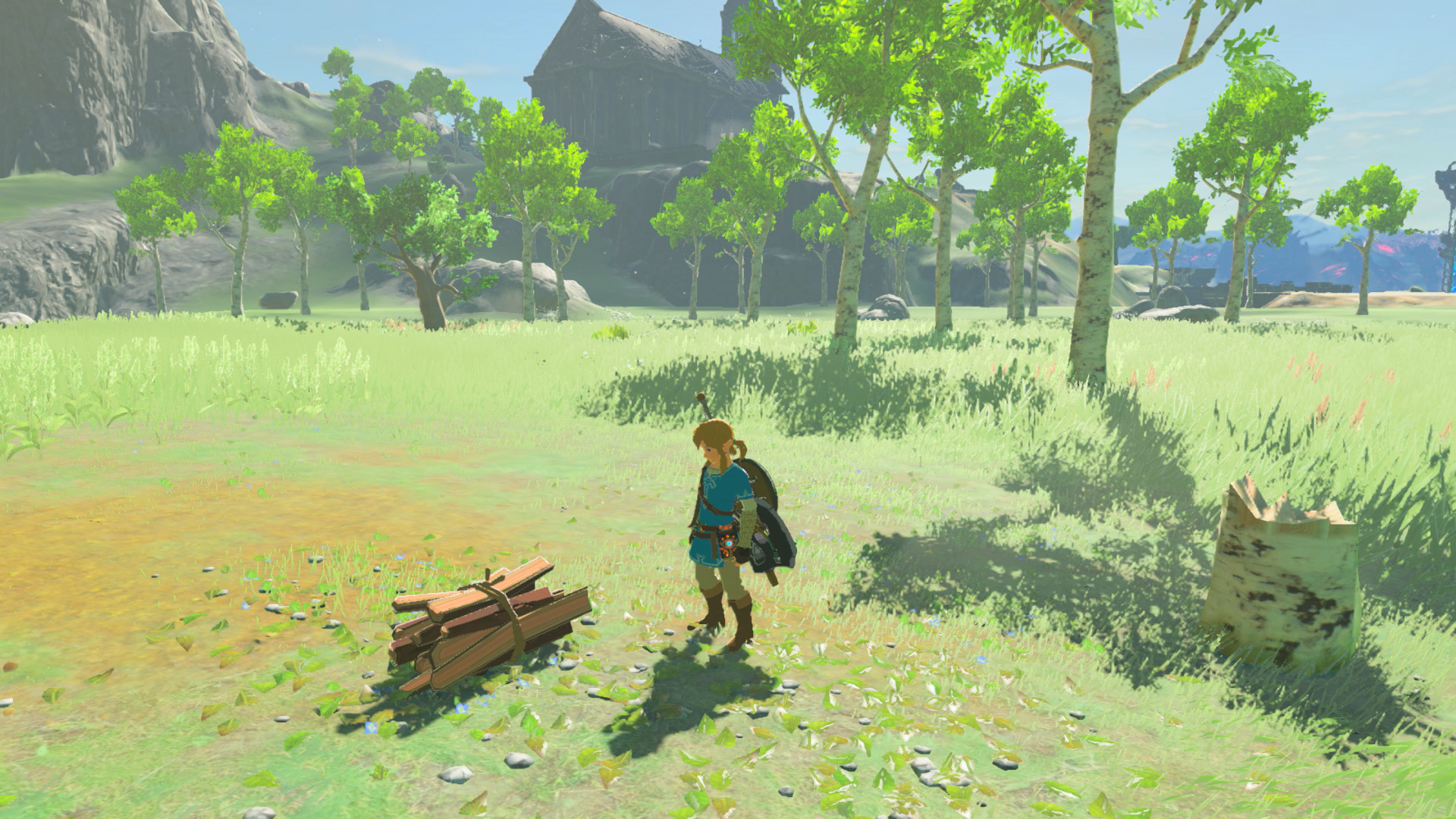 The Legend of Zelda: Breath of the Wild | gutgespielt.de